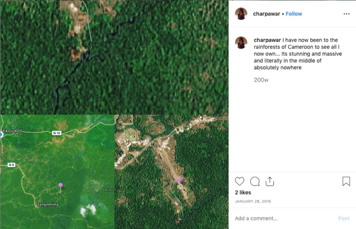 Cameroon’s Cannabis Plans Go Up in Smoke | OCCRP