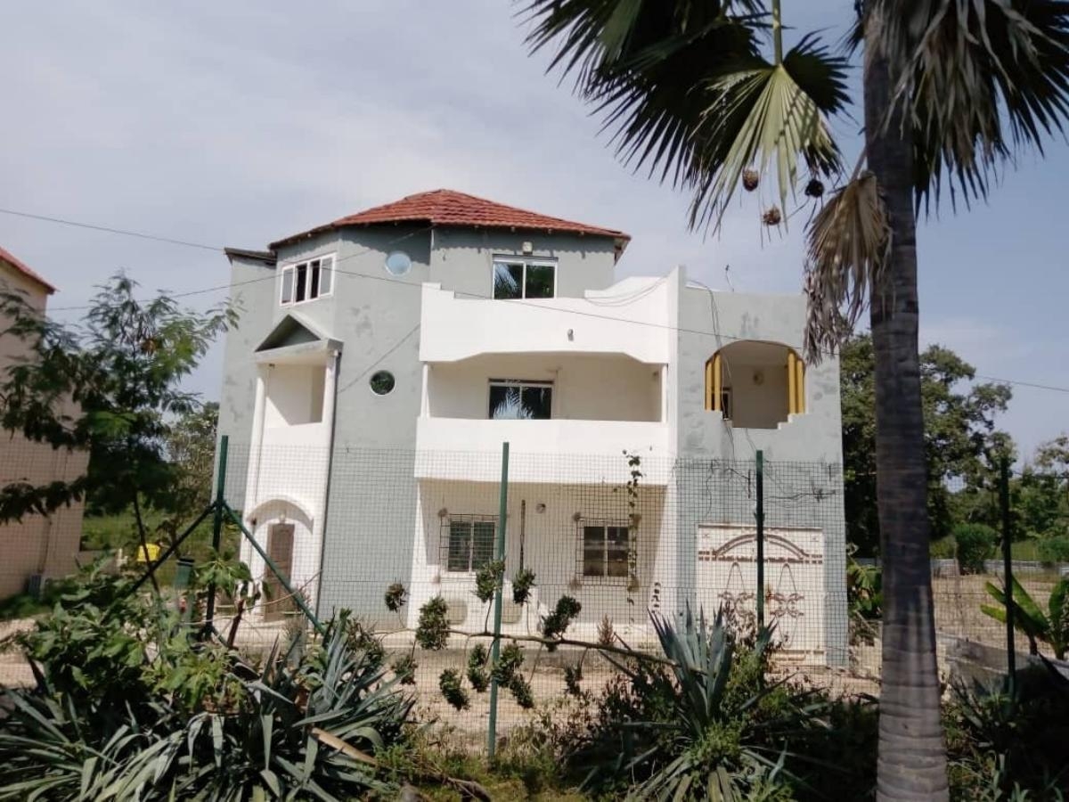 Phantom Firms Haunt Gambia | OCCRP