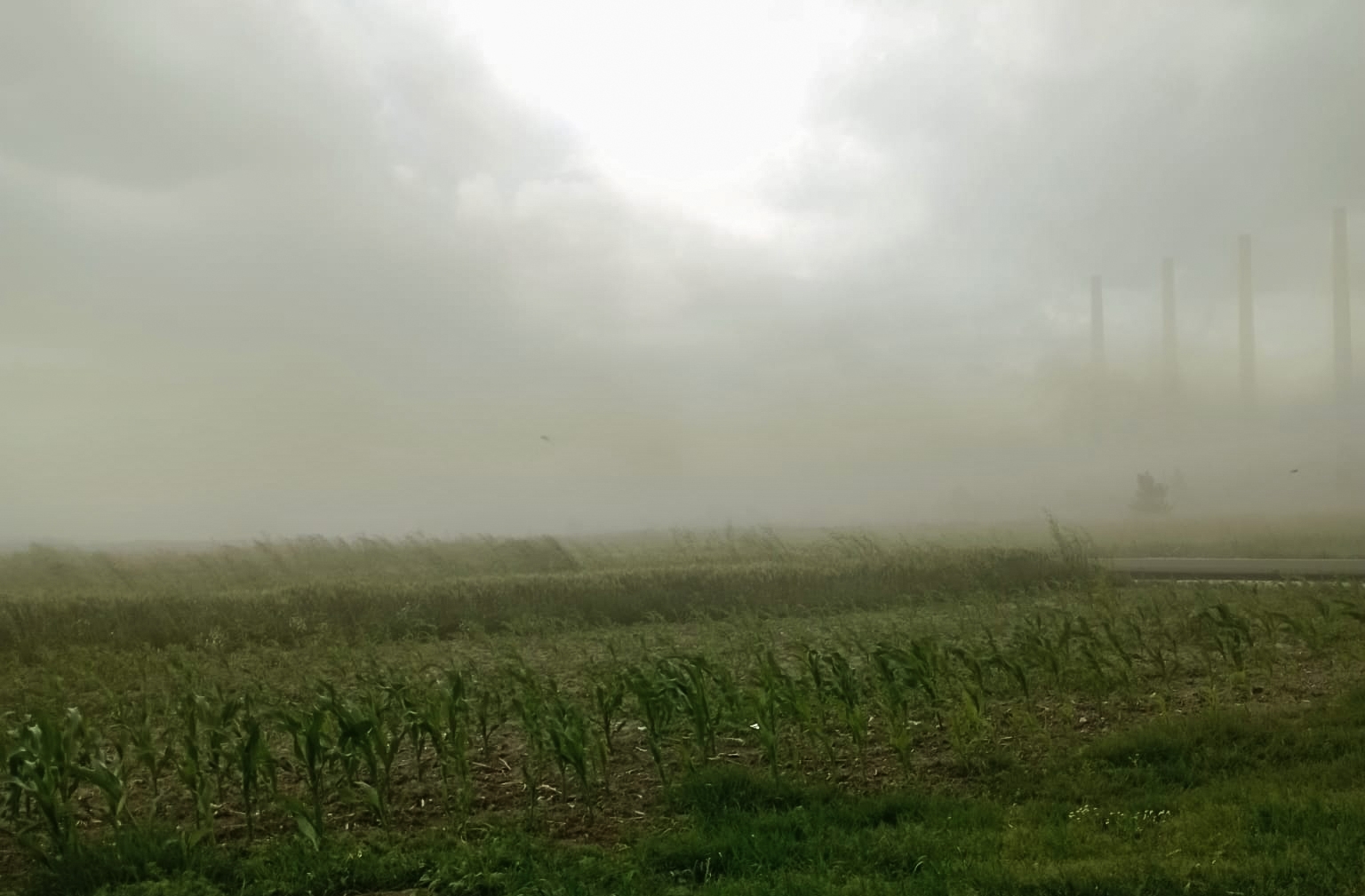 Romania’s Coal-Powered Energy Giant May Have Underdeclared Emissions ...