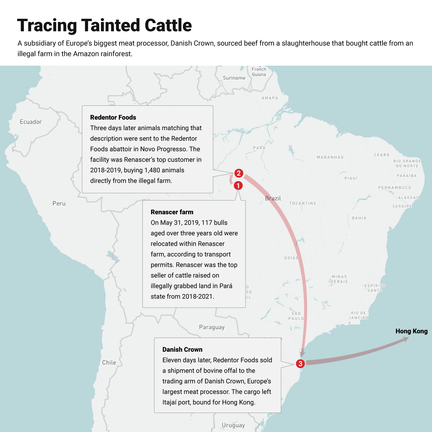 How Illegal Land Grabs in Brazil’s Amazon Feed the Global Beef Industry ...