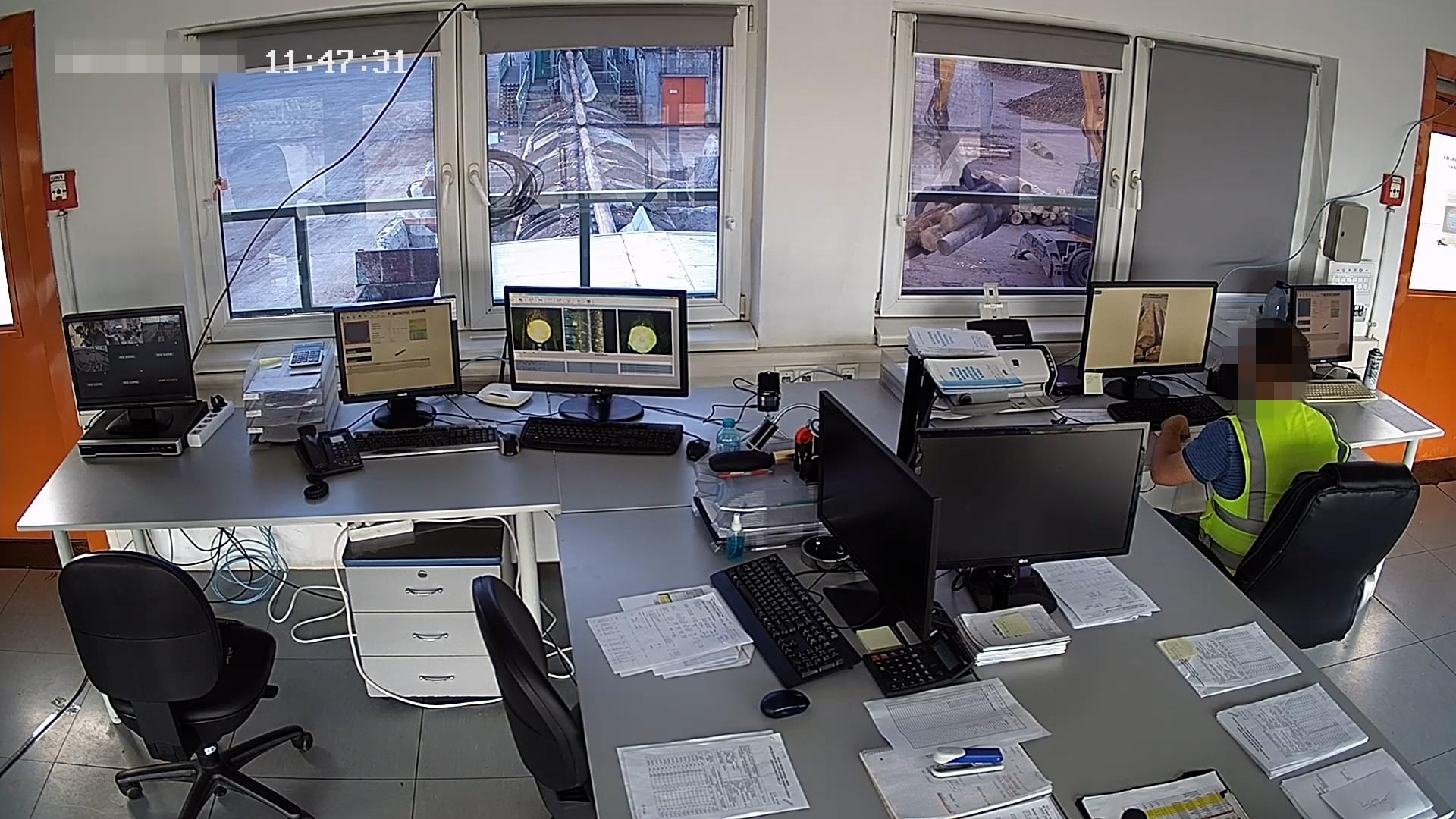 Eastern Europe’s Biggest Wood Processor Demanded Free Timber From ...