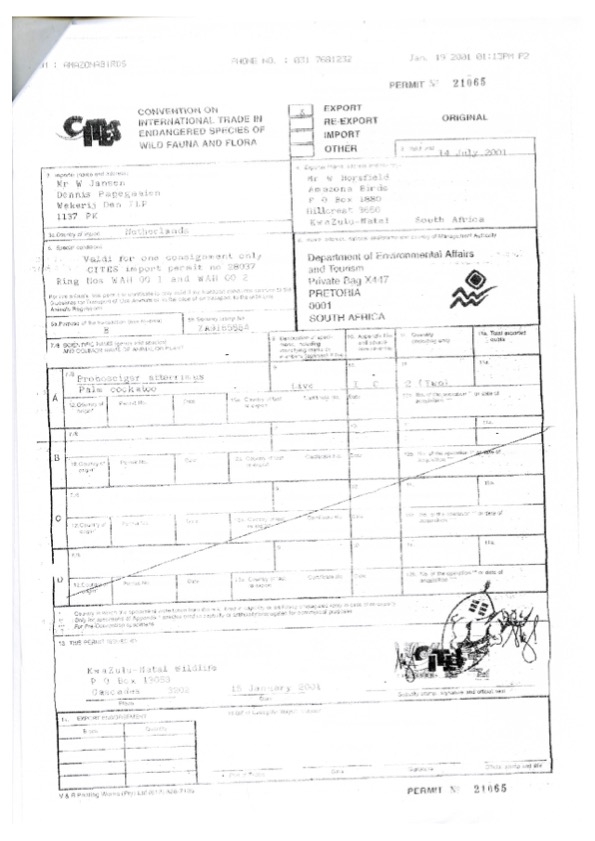 ‘Astronomical Money’: How Smugglers Made Tens of Millions Moving Rare ...