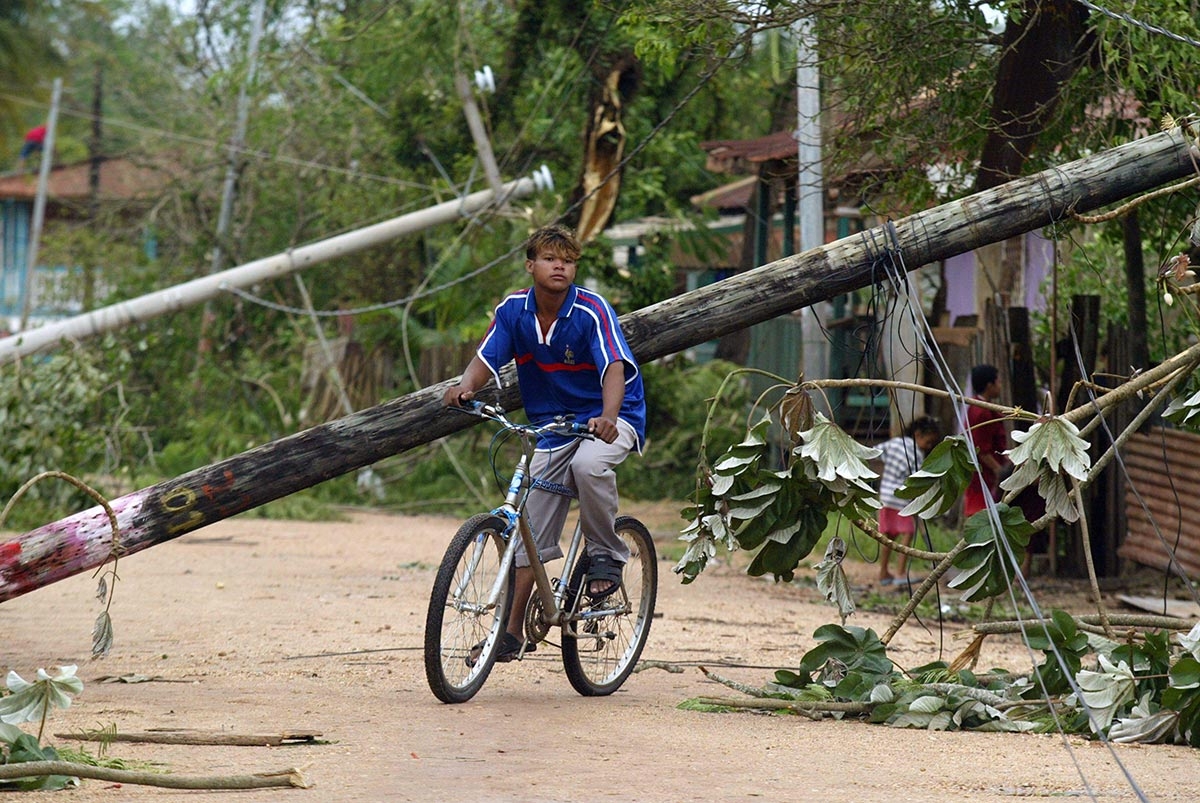 Nicaragua’s Forgotten Deforestation Crisis | OCCRP