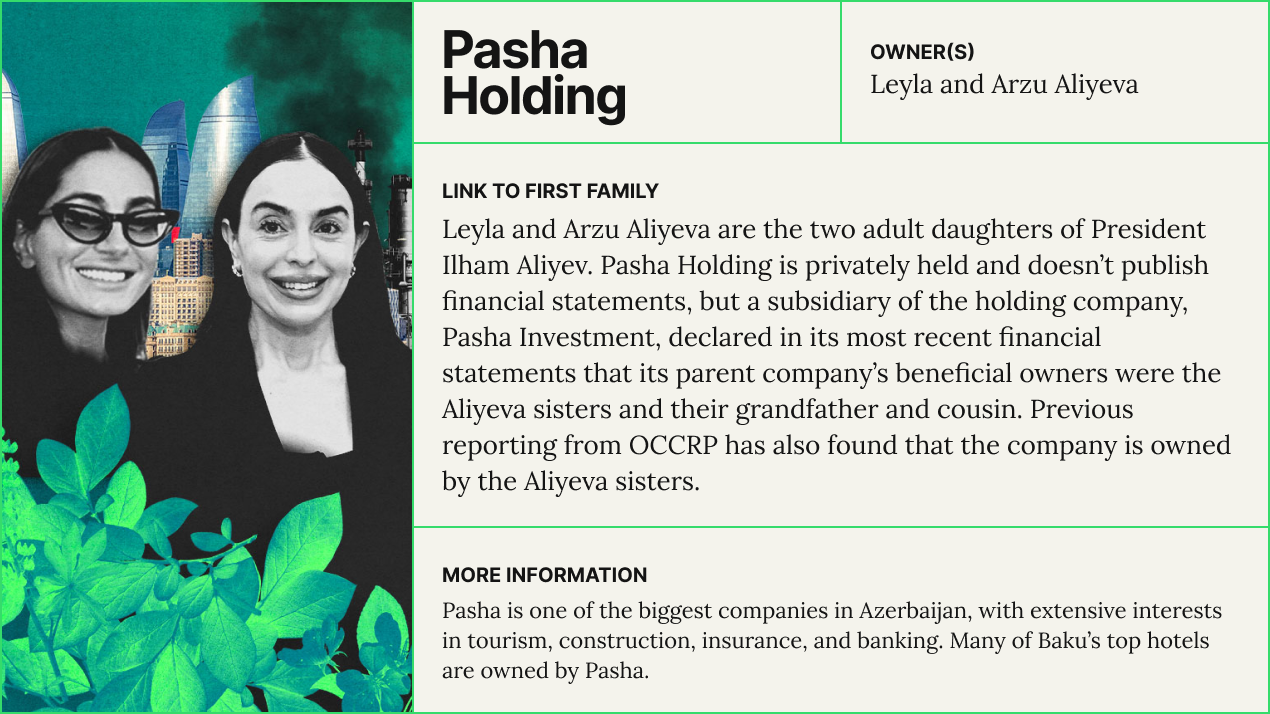 ‘Official Partners’ of Azerbaijan’s COP29 Climate Summit Linked To ...