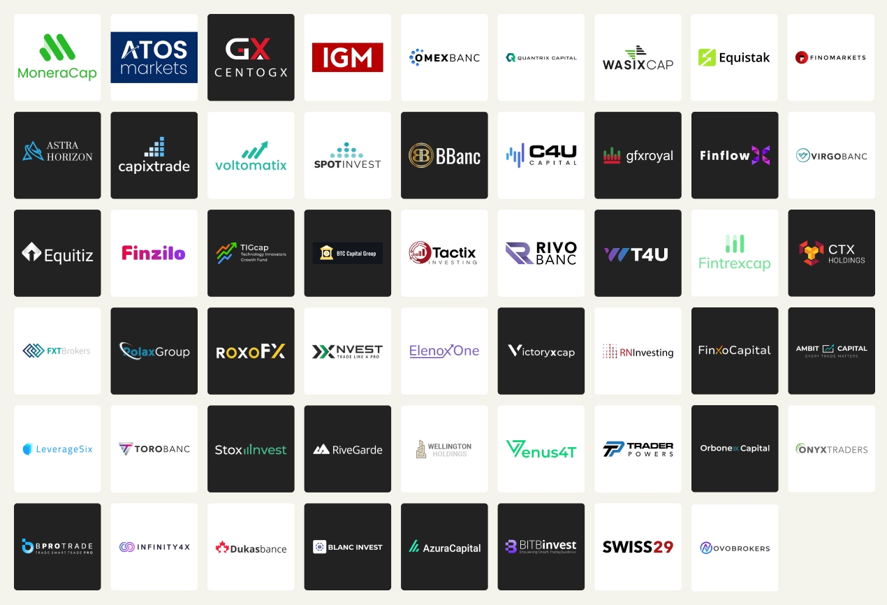 These 81 Investment Platforms Were Part of a Scam Network. Here’s What ...