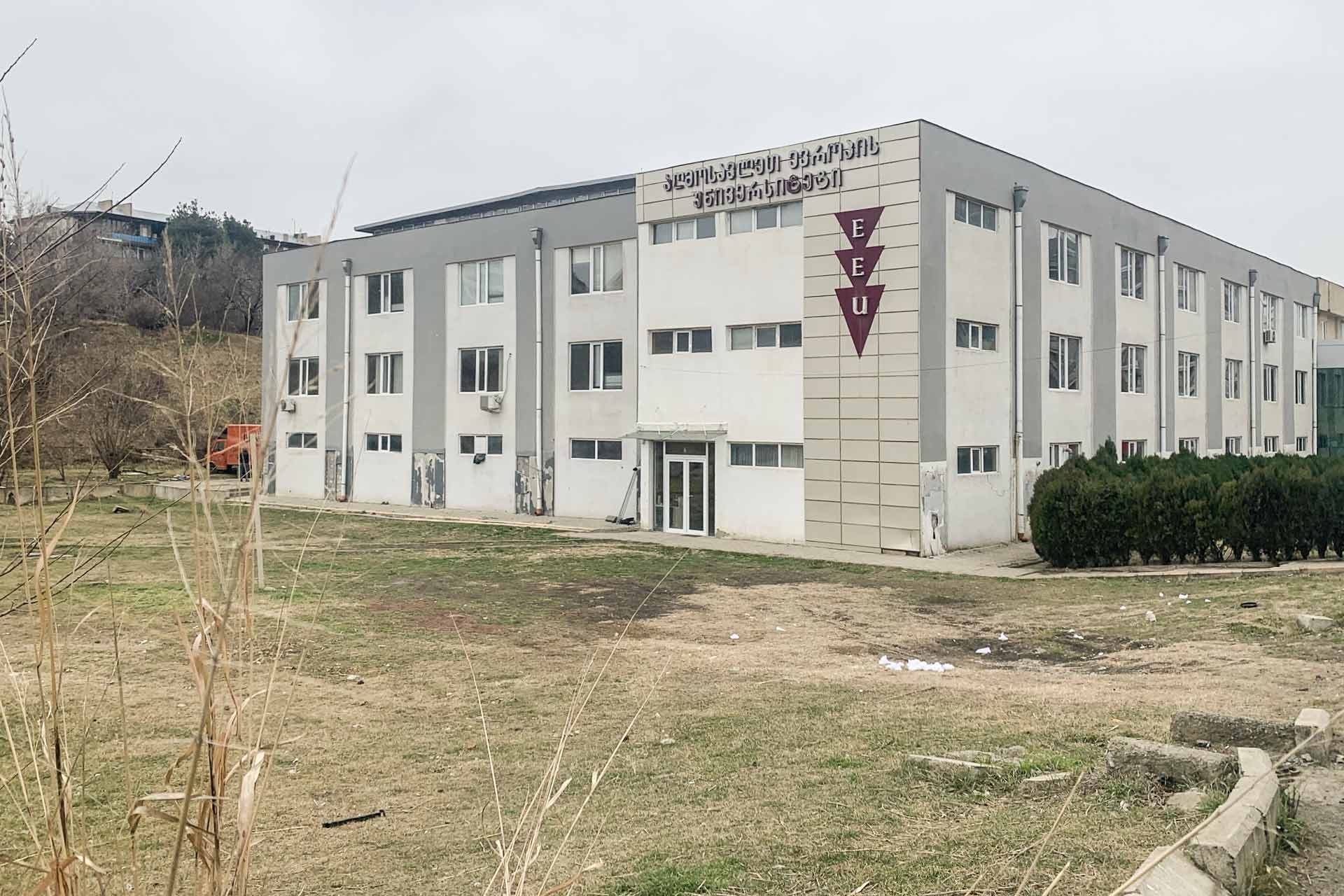 In Georgia, an Opposition MP Voted With the Ruling Party. Then His ...