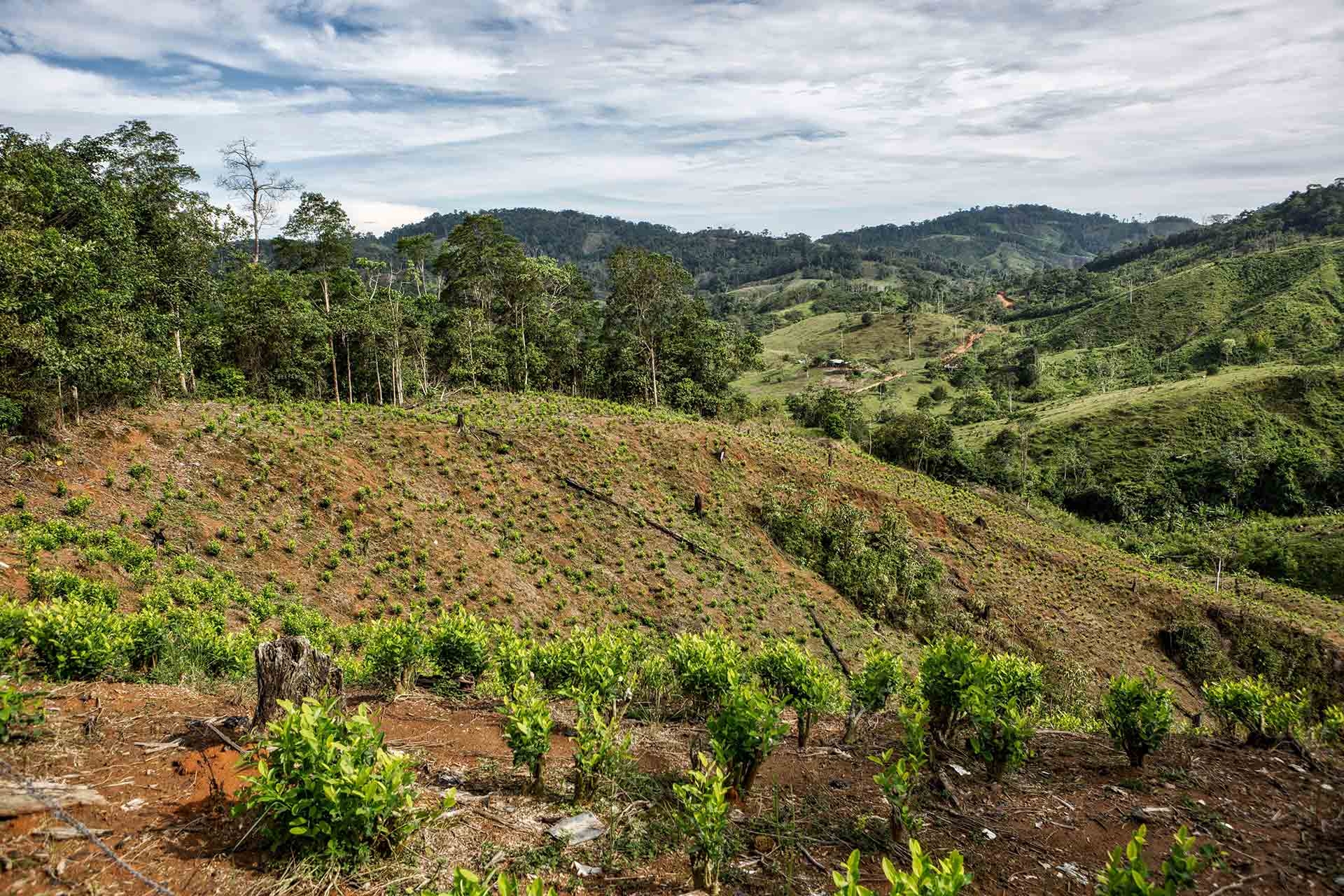 Fishing Boats and Cargo Ships: How Colombian Cocaine Travels the World ...