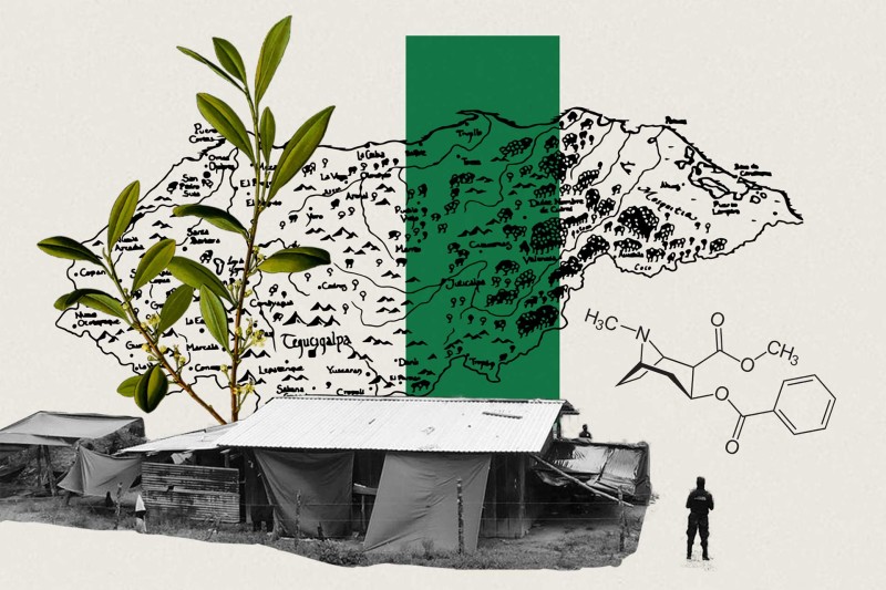 NarcoFiles: The New Criminal Order | OCCRP