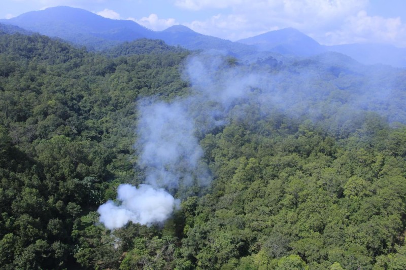 Cocaine Everywhere All at Once: How Drug Production Is Spreading Into ...