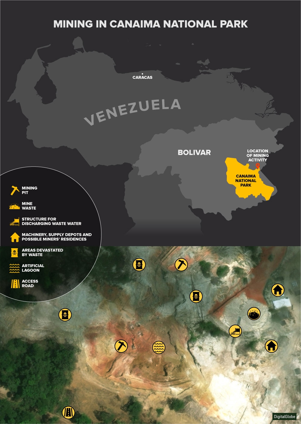 Death of a Forest | OCCRP