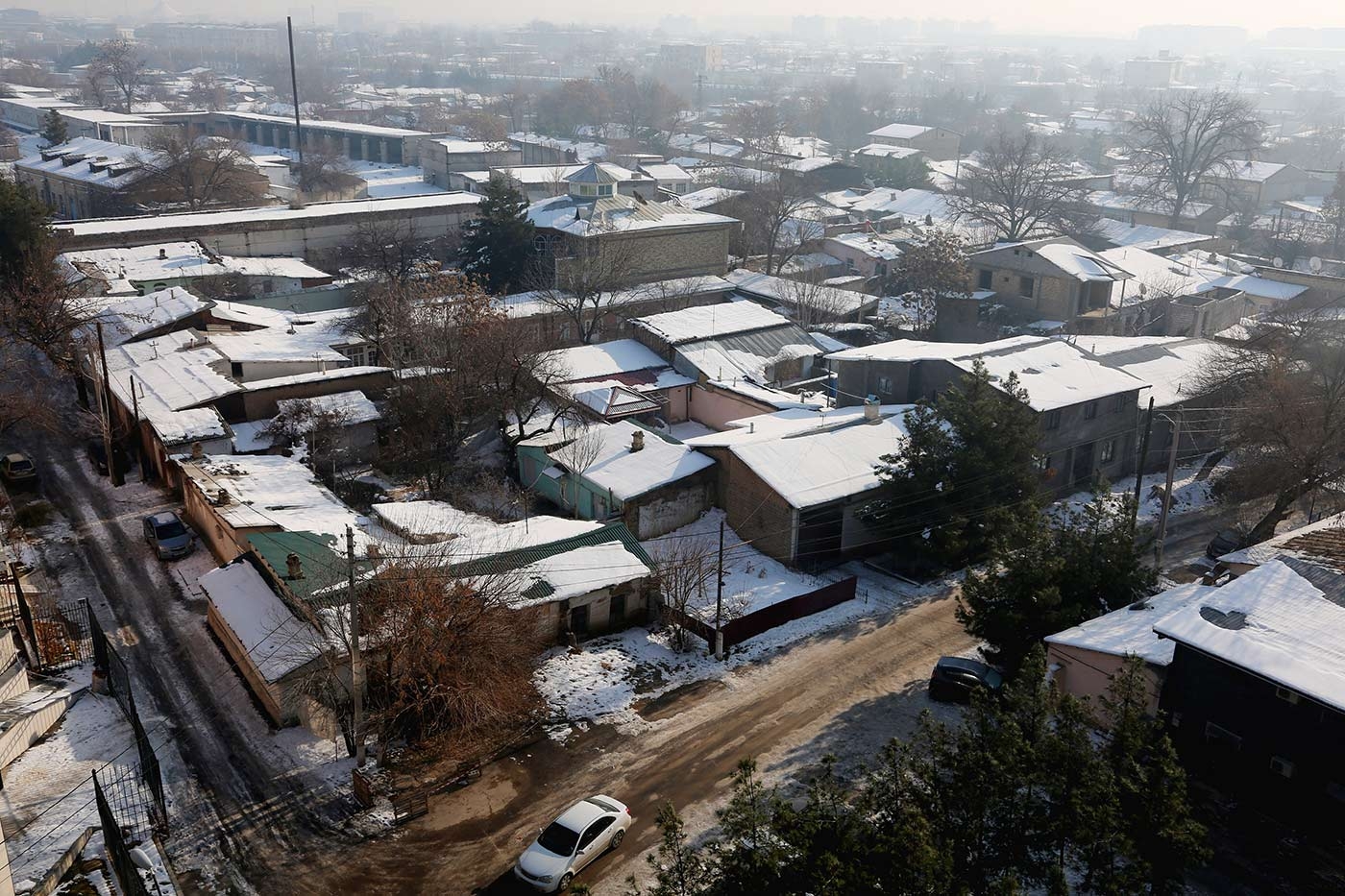 With Backing from Uzbek State, Family Implicated in Smuggling Secretly ...